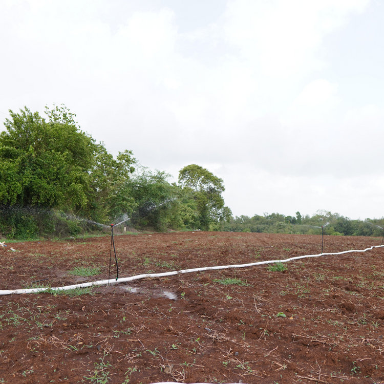 Selecting the Perfect Lay Flat Pipe Suitable for Your Land Size and Cr ...